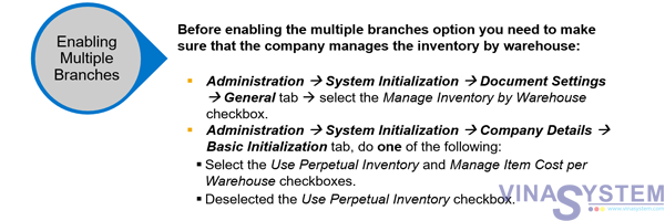 Multiple Branches in SAP Business One